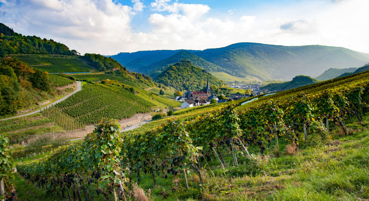 Ahrtal strickt ein nachhaltiges Tourismuskonzept | Destinations